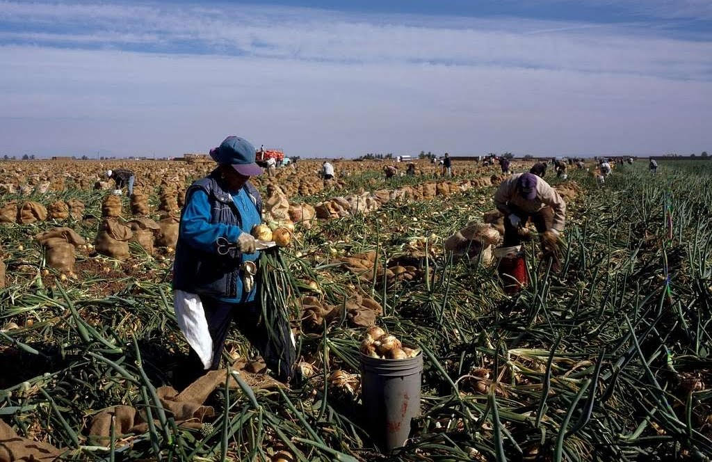 Proposed California budget cuts Medi-Cal, CalFresh benefits for ...